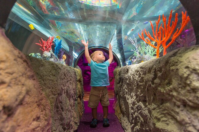 SEA LIFE Aquarium Minnesota Admission Ticket at Mall of America - FAQ
