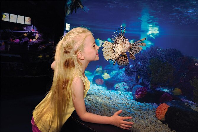 Sea Life Charlotte Concord Aquarium Admission Ticket - Exploring the Sea Life Charlotte Concord Aquarium: A Complete Review