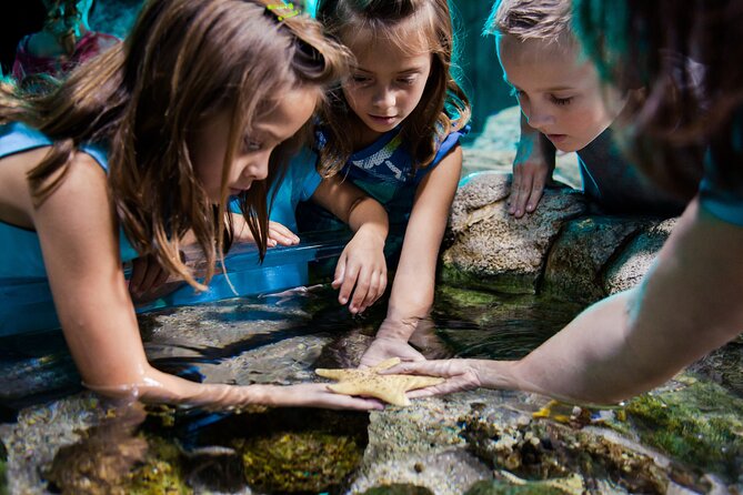 Sea Life Charlotte Concord Aquarium Admission Ticket - Key Points