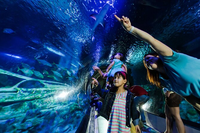 Sea Life Charlotte Concord Aquarium Admission Ticket - Final Thoughts: Who Will Love This Aquarium?