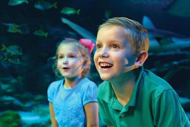 SEA LIFE Kansas City Aquarium Admission Ticket - An In-Depth Look at the Aquarium Experience