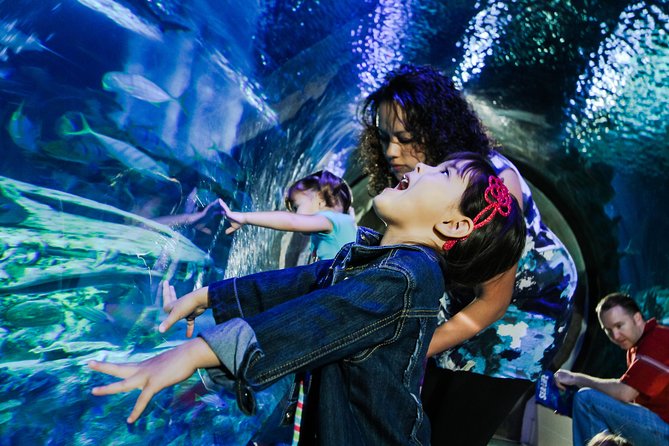 SEA LIFE Kansas City Aquarium Admission Ticket - Final Thoughts: Who Should Consider Visiting?