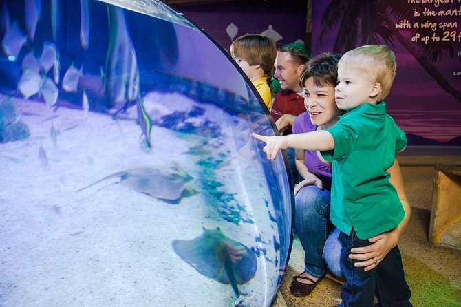 SEA LIFE Kansas City Aquarium Admission Ticket - Final Words