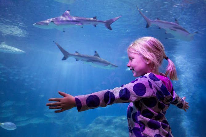SEA LIFE Michigan Aquarium Admission Ticket - Introduction: A Peek Into SEA LIFE Michigan Aquarium