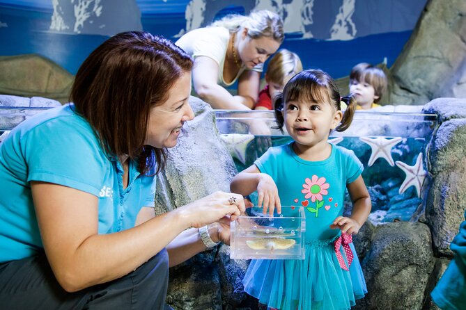 SEA LIFE Michigan Aquarium Admission Ticket - Key Points