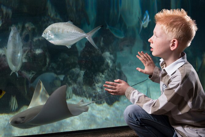 SEA LIFE Michigan Aquarium Admission Ticket - FAQ