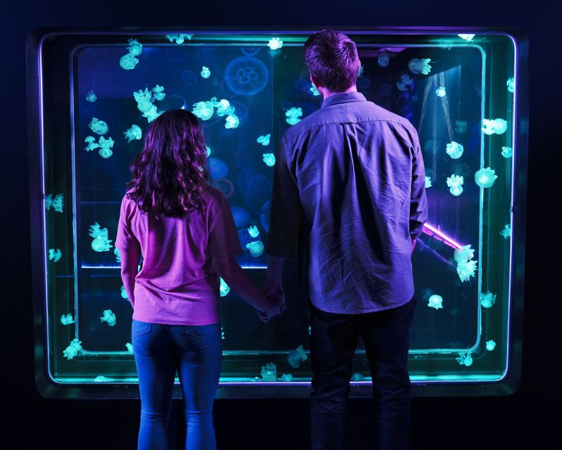 SEA LIFE Michigan Aquarium General Admission - Practical Details: What to Expect