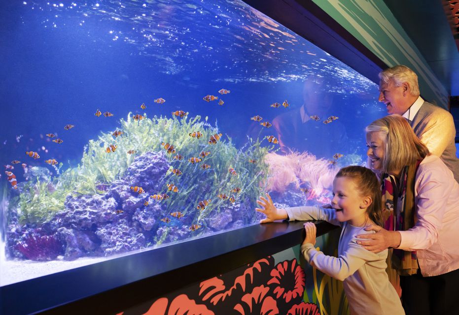 SEA LIFE Michigan Aquarium General Admission - Value for Money