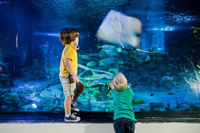 SEA LIFE Orlando Aquarium - Authentic Insights from Visitors
