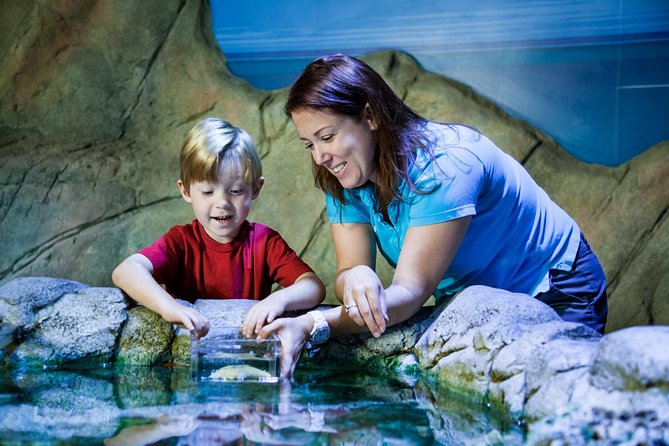 SEA LIFE San Antonio Admission Ticket - What Reviewers Say