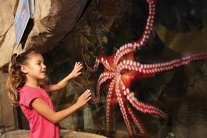 SEA LIFE San Antonio Admission Ticket - Final Thoughts