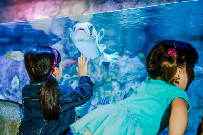 SEA LIFE San Antonio Admission Ticket - FAQs