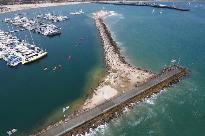 Sea Lion Kayak Tour - Santa Barbara Harbor - A Closer Look at the Santa Barbara Sea Lion Kayak Tour