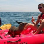 Sea Lion Kayak Tour - Santa Barbara Harbor - Why This Tour Is Worth It