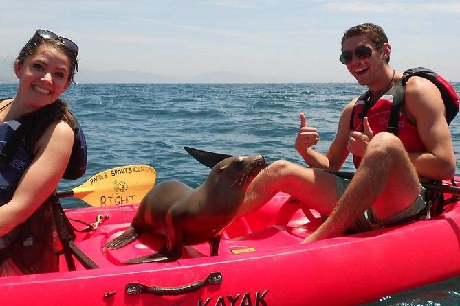Sea Lion Kayak Tour - Santa Barbara Harbor - Why This Tour Is Worth It