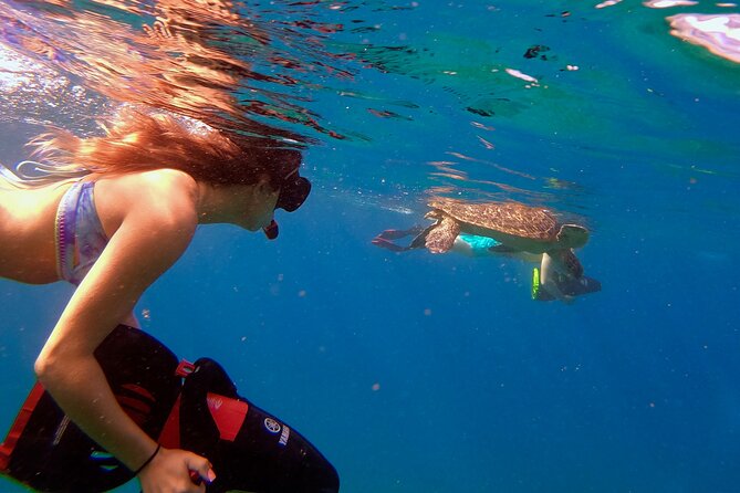 Sea Scooter Snorkeling Guided Tour - Turtle Town - Key Points