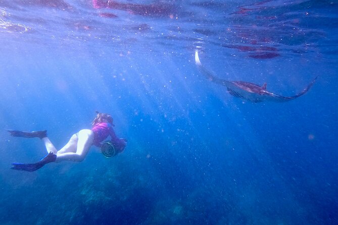 Sea Scooter Snorkeling Guided Tour - Turtle Town - The Plus Points of the Experience
