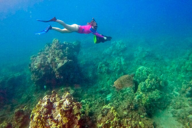 Sea Scooter Snorkeling Guided Tour - Turtle Town - Who Should Consider This Tour?