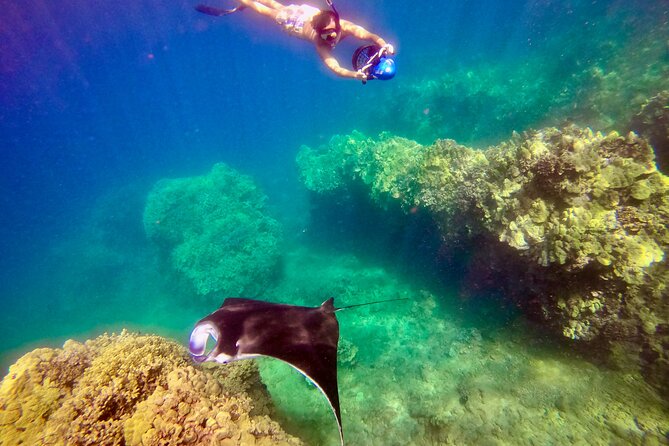 Sea Scooter Snorkeling Guided Tour - Turtle Town - FAQ