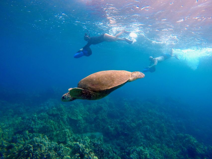 Sea Scooter Snorkeling Guided Tour - Wailea Beach - Key Points