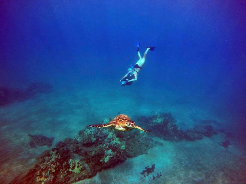 Sea Scooter Snorkeling Guided Tour - Wailea Beach - An In-Depth Look at the Tour Experience