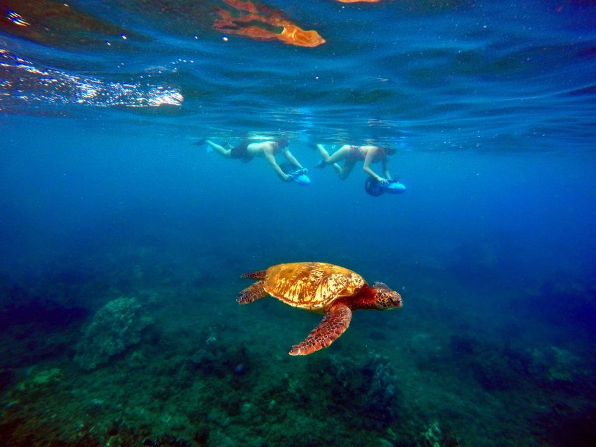 Sea Scooter Snorkeling Guided Tour - Wailea Beach - FAQ
