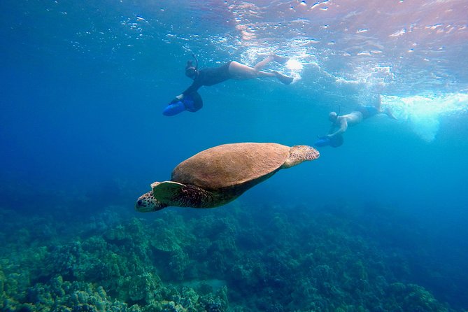 Sea Scooter Snorkeling Guided Tour - Wailea Beach - The Itinerary Breakdown