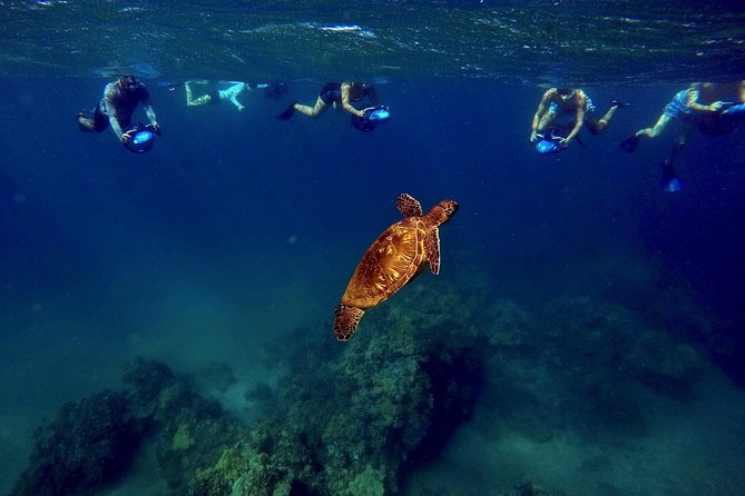 Sea Scooter Snorkeling Guided Tour - Wailea Beach - FAQ