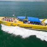 Sea Screamer Cruise - 2 Hour Dolphin Watch Tour in South Carolina - Authentic Experiences and Review Insights
