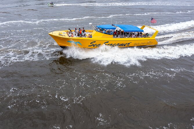 Sea Screamer Cruise - 2 Hour Dolphin Watch Tour in South Carolina - Who Would Love This Tour?