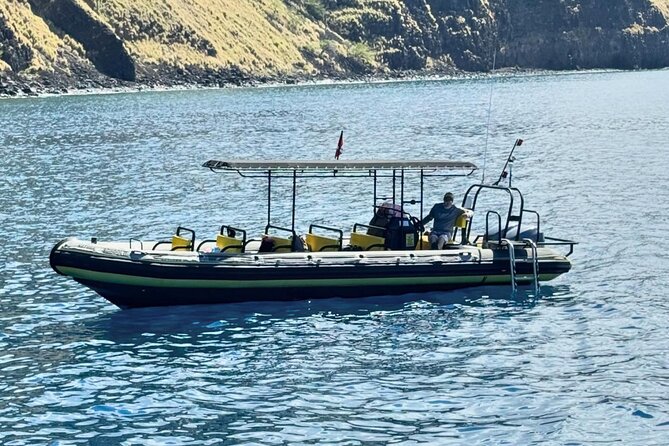Seasonal Small-Group Humpback Whale Watching in Kona - Authentic Experiences and Hidden Gems