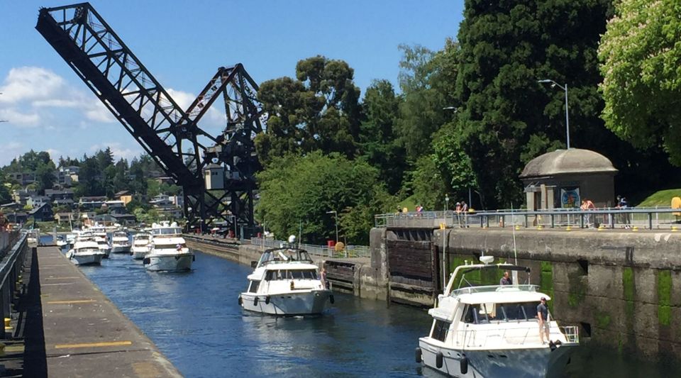 Seattle: 3-Hour City Highlights Tour - Is This Tour Right for You?