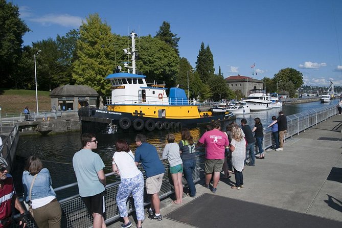 Seattle City and Snoqualmie Falls Half-Day Guided Tour - Transport, Group Size, and Overall Value