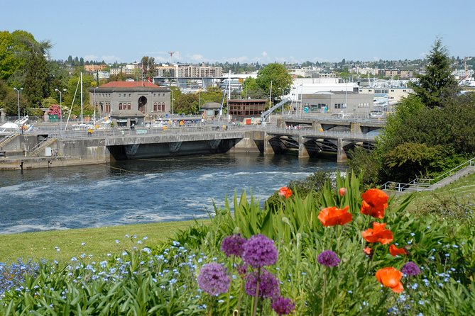 Seattle City Premier Tour - Who Should Consider This Tour?