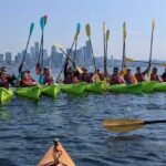 Seattle: Elliott Bay Sea Kayak Tour - The Sum Up