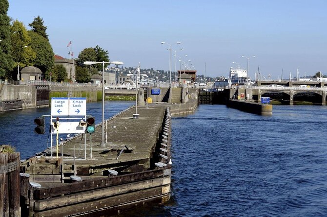 Seattle Locks Cruise - A Closer Look at the Seattle Locks Cruise Experience