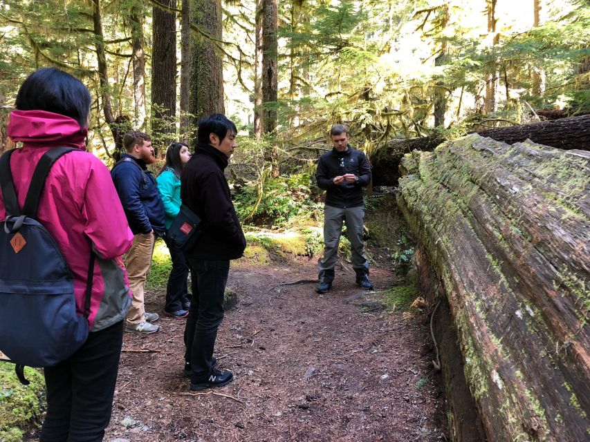 Seattle: Longmire in Mount Rainier Winter Day Tour - A Closer Look at the Mount Rainier Winter Experience