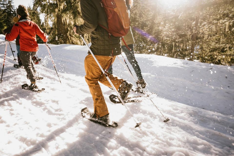 Seattle: Longmire in Mount Rainier Winter Day Tour - What Makes This Tour Stand Out?