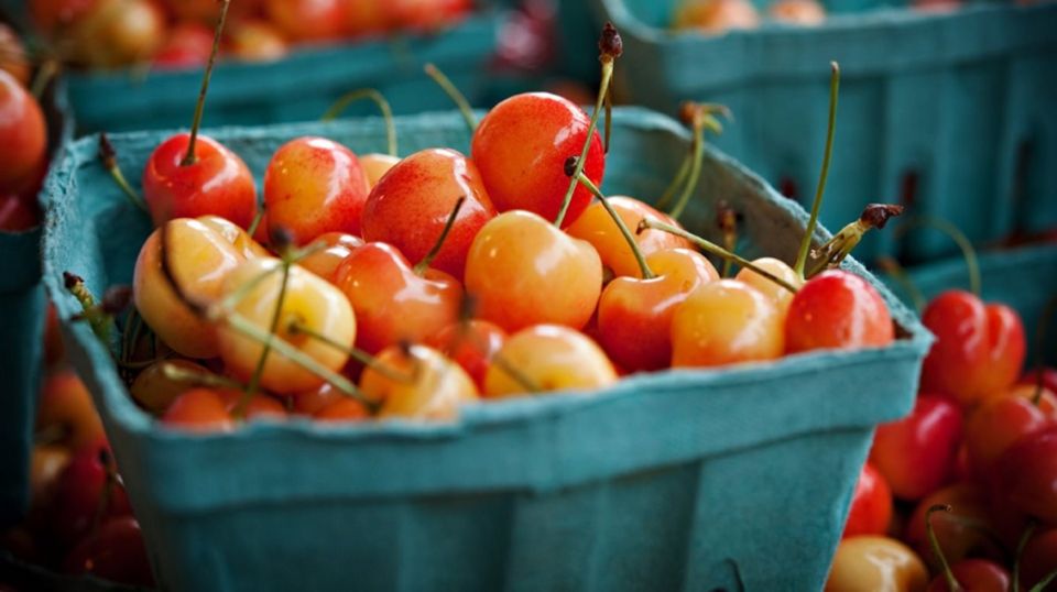 Seattle: Meet Me at the Market Food Tour - Who Will Love This Tour?