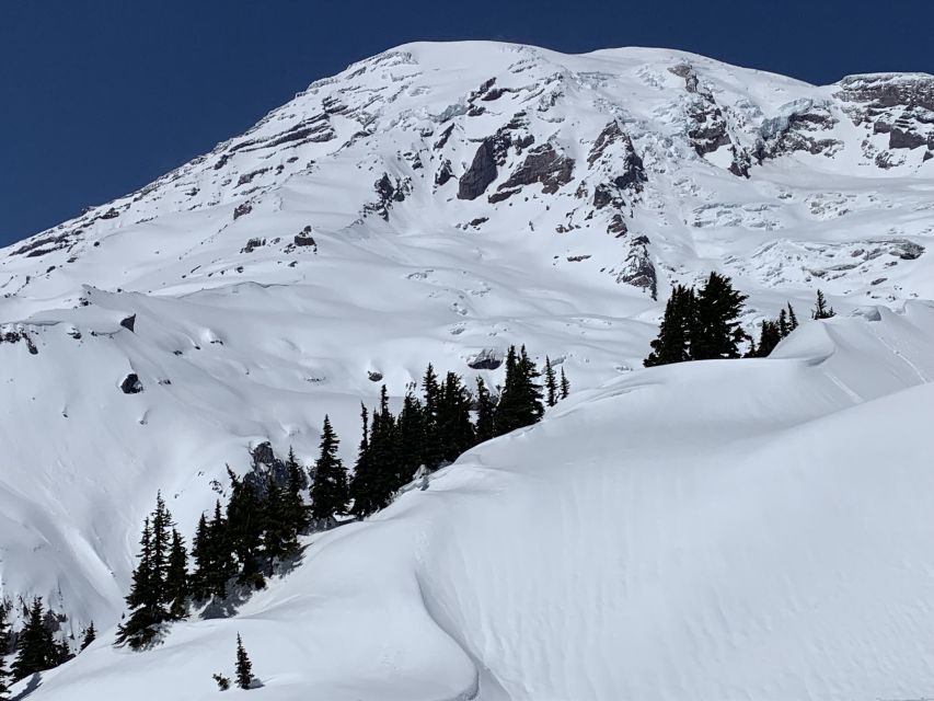 Seattle: Mt. Rainier Hiking w/ Waterfalls, Glaciers & Trees - Exploring the Park’s Highlights