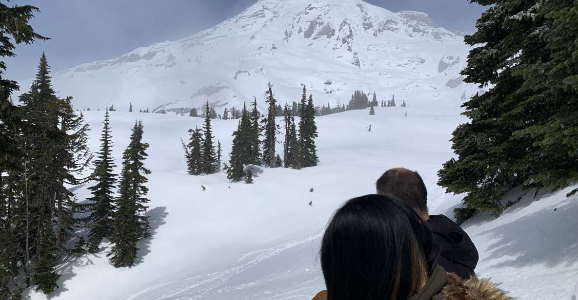 Seattle: Mt. Rainier Hiking w/ Waterfalls, Glaciers & Trees - Transport & Comfort