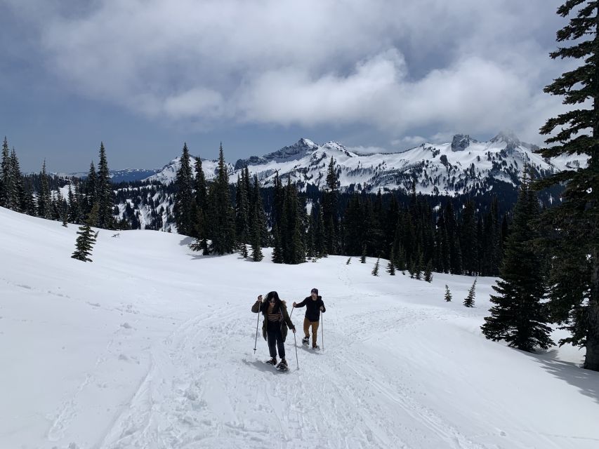 Seattle: Mt. Rainier Hiking w/ Waterfalls, Glaciers & Trees - The Guide’s Role in Enhancing the Experience