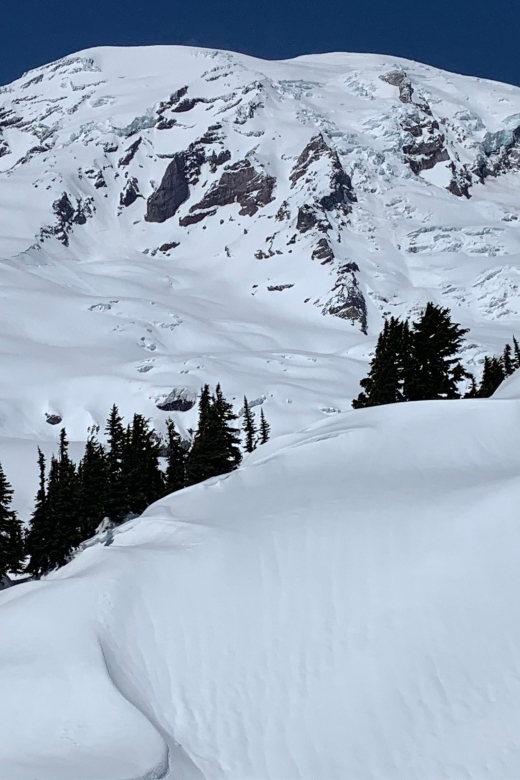 Seattle: Mt. Rainier Hiking w/ Waterfalls, Glaciers & Trees - Weather, Safety, and Practical Tips