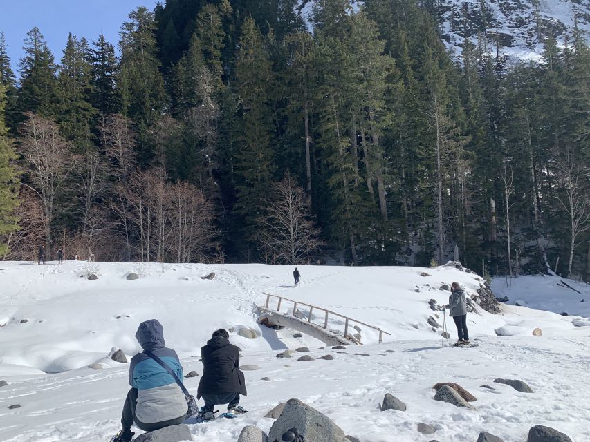 Seattle: Mt. Rainier Hiking w/ Waterfalls, Glaciers & Trees - Is It Worth the Price?