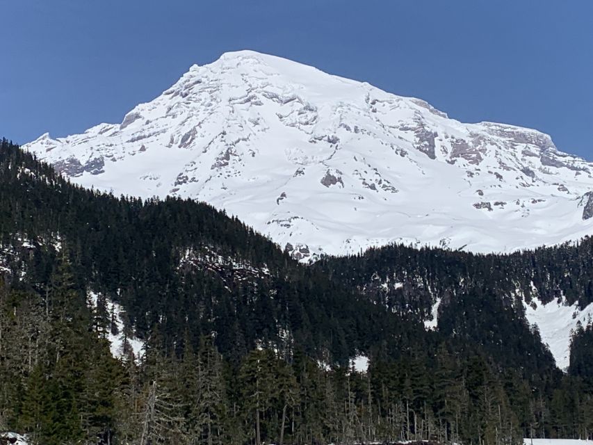 Seattle: Mt. Rainier Hiking w/ Waterfalls, Glaciers & Trees - Who Will Love This Tour?