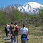 Seattle: Mt. St. Helens National Monument Small Group Tour - Final Thoughts: Who Will Love This Tour?