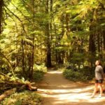 Seattle: Olympic National Park Small-Group Tour - Frequently Asked Questions (FAQs)