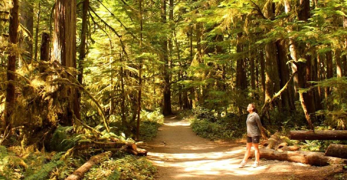 Seattle: Olympic National Park Small-Group Tour - Frequently Asked Questions (FAQs)