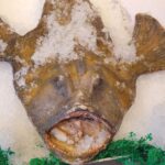 Seattle: Pike Place Market Seafood Tasting Tour - Who Would Love This Experience?