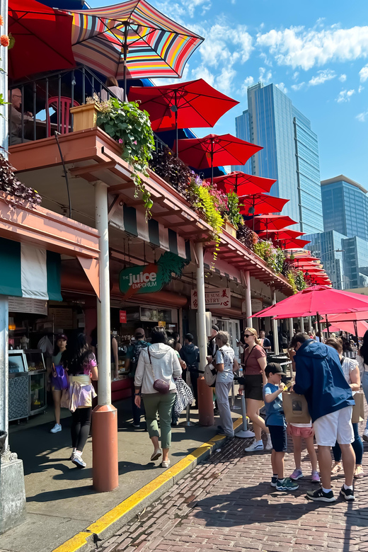 Seattle: Private 2.5 Hour Seattle City Tour - What Travelers Are Saying